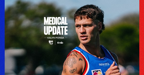 Medical Update | Kalyn Ponga | Knights