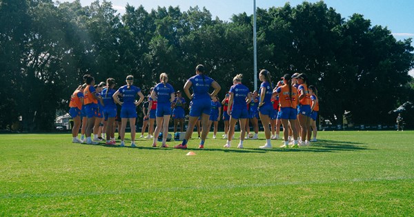 Registrations open for Knights and NSW Rugby League RISE program | Knights