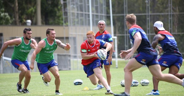 Knights welcome Krys Freeman | Knights