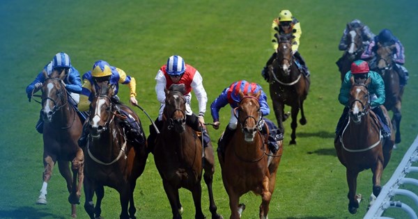 Knights announce Race Day | Knights