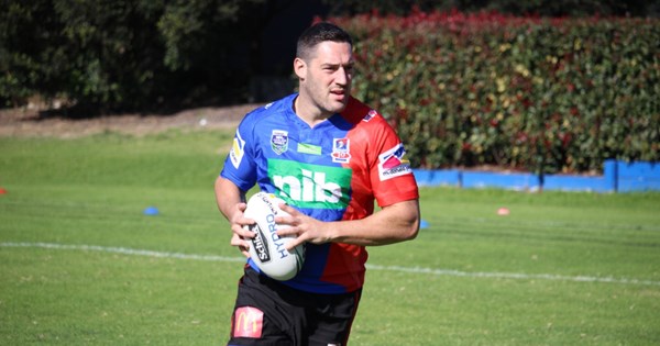 Wardle expecting all-Origin cast | Knights