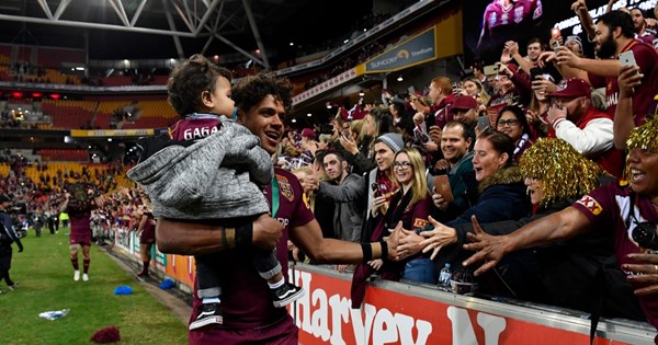 Queensland claim Origin series | Knights
